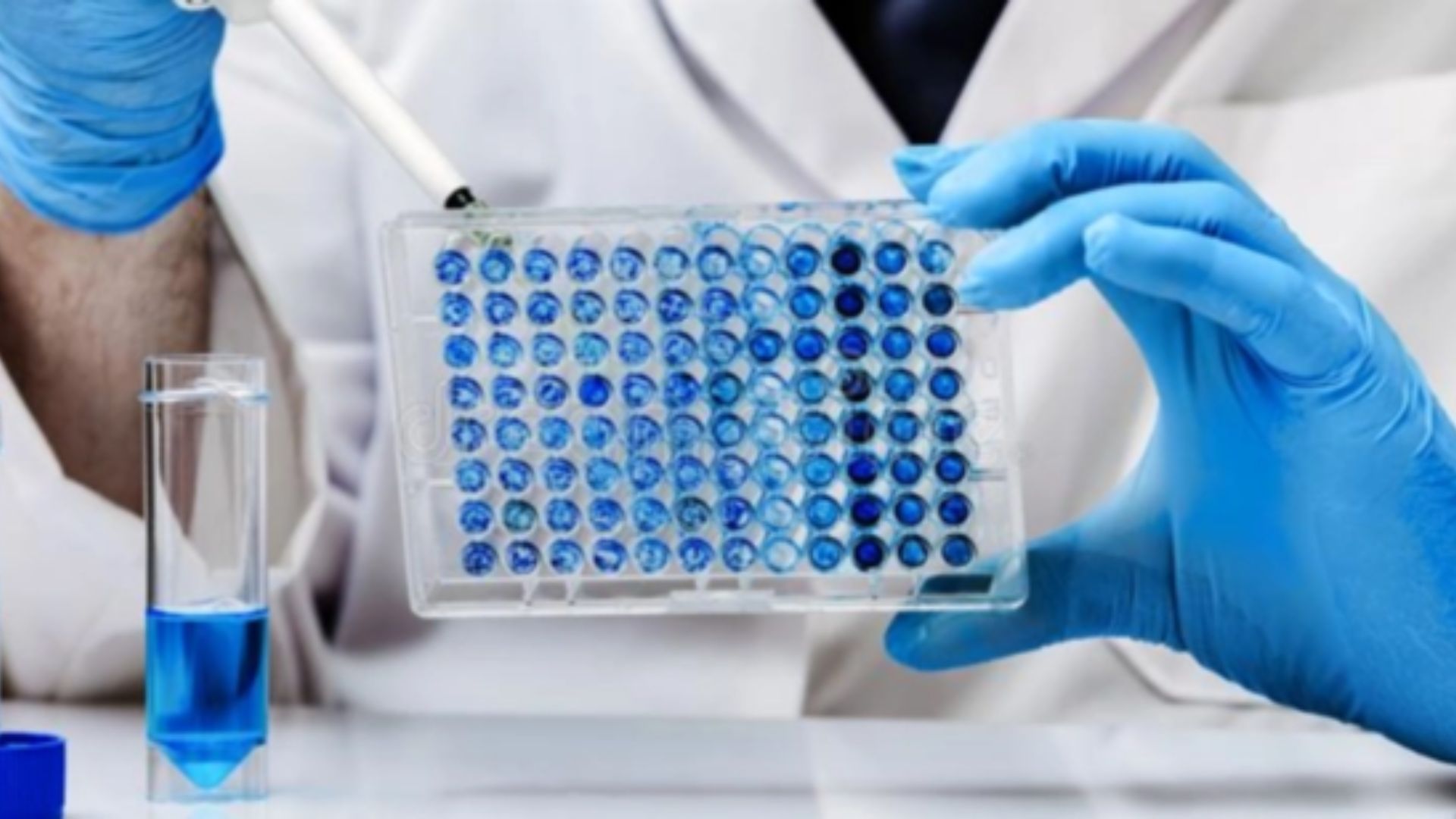 Novedades en Biocompatibilidad de productos médicos: desafíos y ...